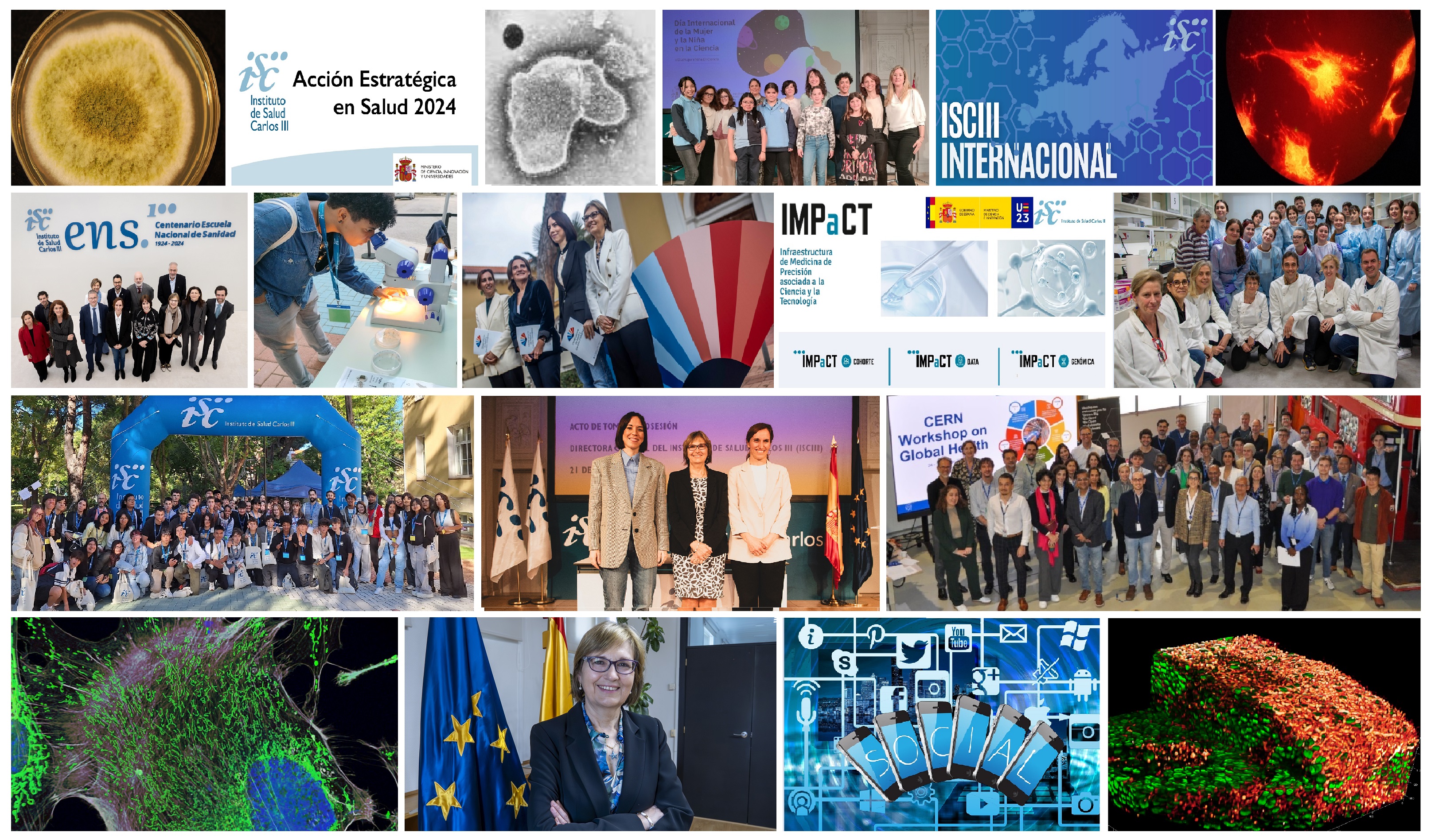 Resumen del año: así ha sido 2024 en el ISCIII - IIER - ISCIII Portal Web